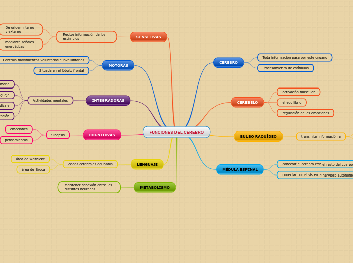 FUNCIONES DEL CEREBRO - Mind Map